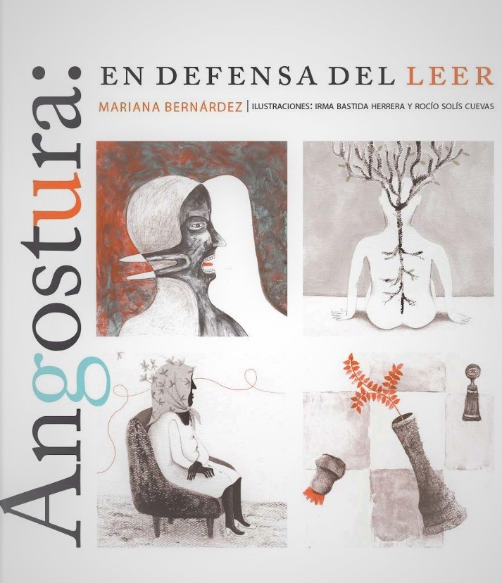 Hablemos Escritoras · Ficha de Libro: Angostura: en defensa del leer