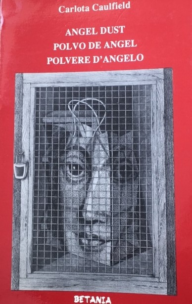 Hablemos Escritoras · Ficha de Libro: Angel dust/ Polvo de angel ...